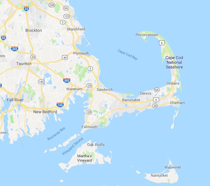 Cape Cod Tree Service Cape Cod Tree Removal Stump Grinding And Tree